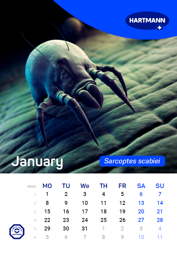 Calendar of the spread of relevant pathogens | HARTMANN SCIENCE CENTER
