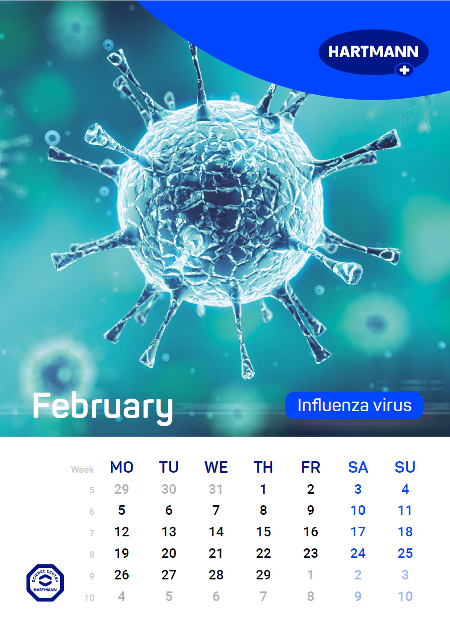 Calendar of the spread of relevant pathogens | HARTMANN SCIENCE CENTER