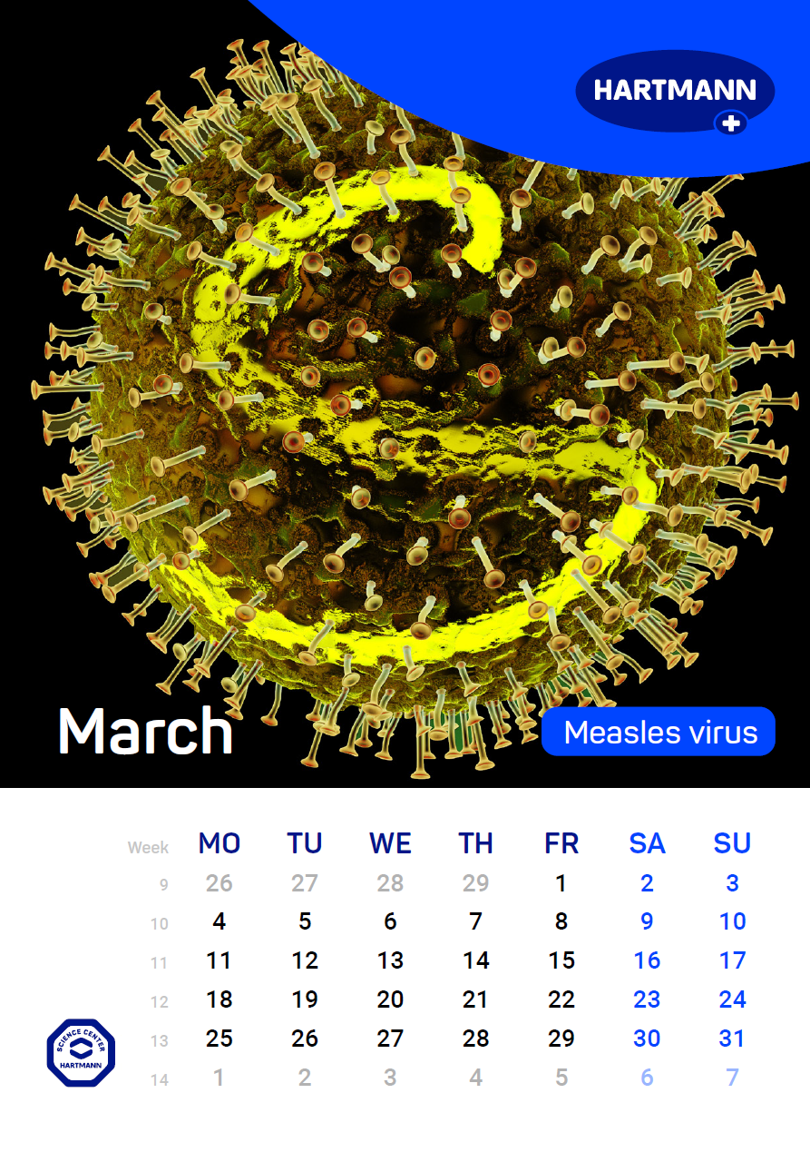 Calendar of the spread of relevant pathogens | HARTMANN SCIENCE CENTER