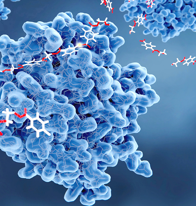 Multiresistente Erreger | HARTMANN SCIENCE CENTER