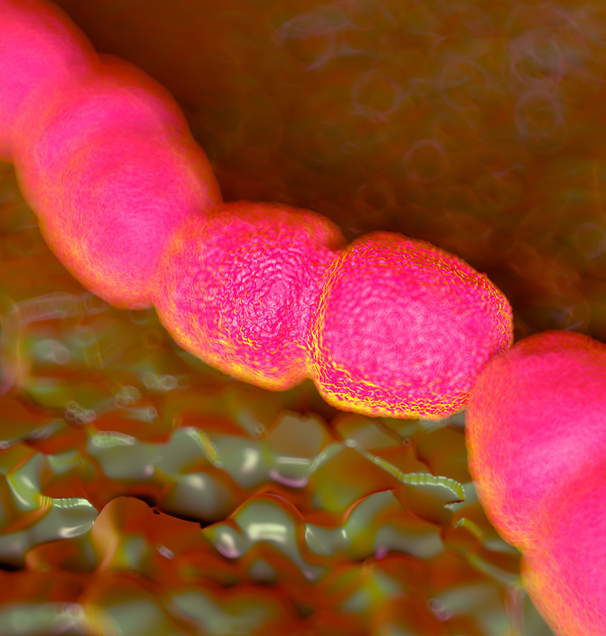 Multiresistente Erreger | HARTMANN SCIENCE CENTER