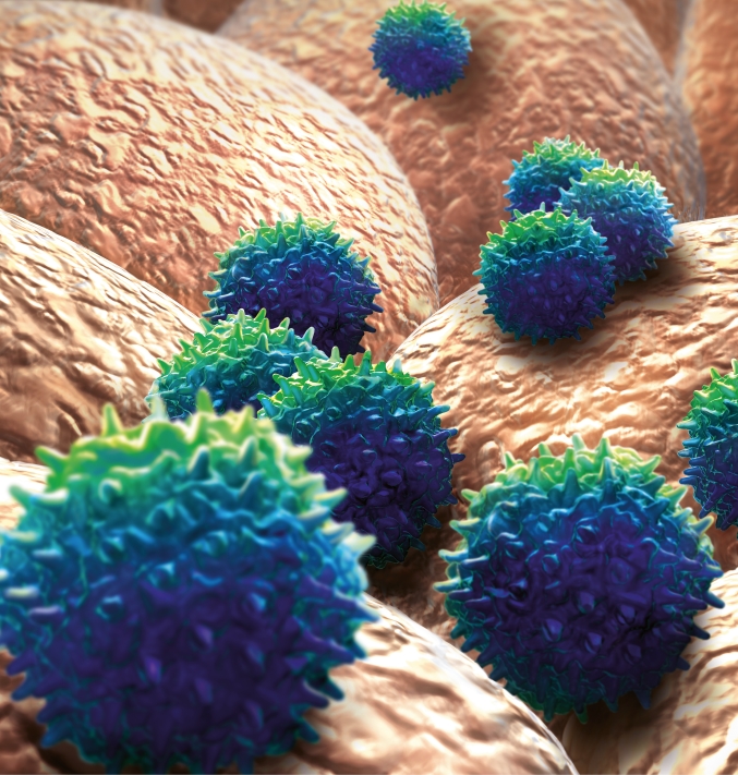 Calendar of the spread of relevant pathogens | HARTMANN SCIENCE CENTER