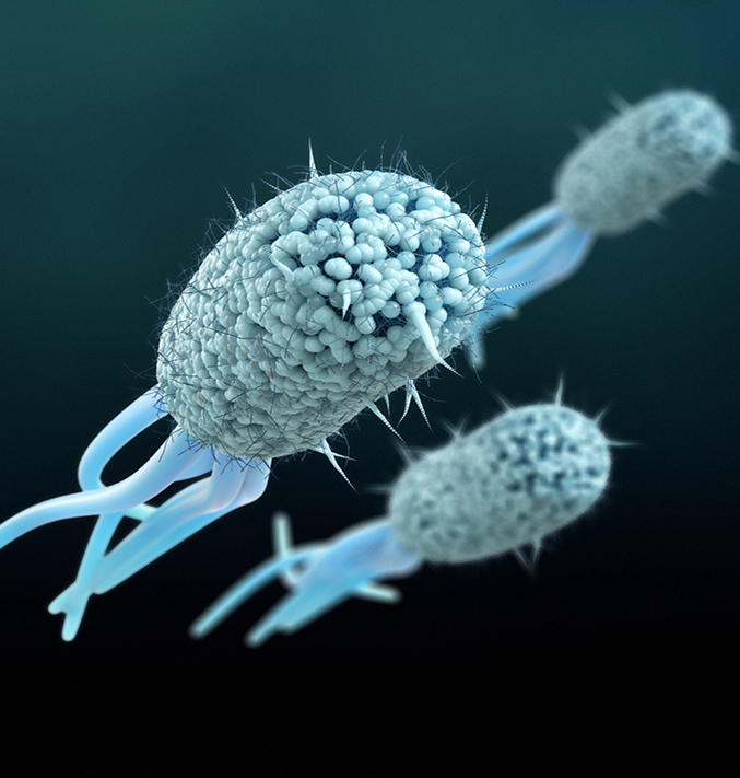 Urinary tract infection